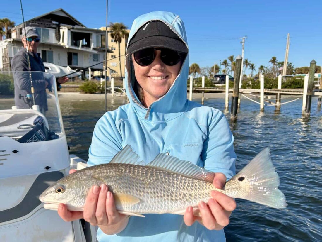 How fish communicate using swim bladders - SANIBEL-CAPTIVA - Island ...